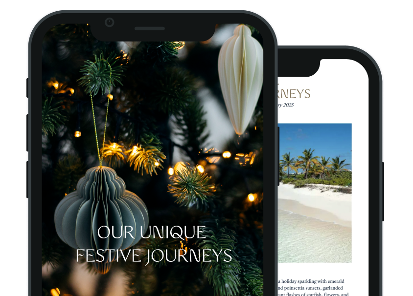 Festive Celebrations