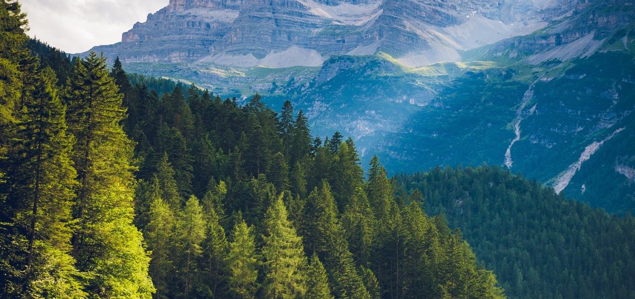 Shore Excursions and Destination Experiences