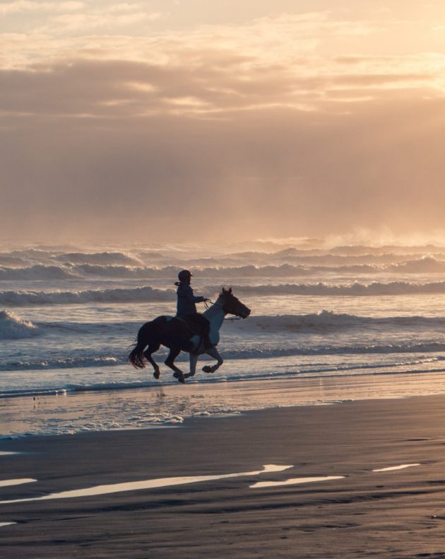 Shore Excursions and Destination Experiences