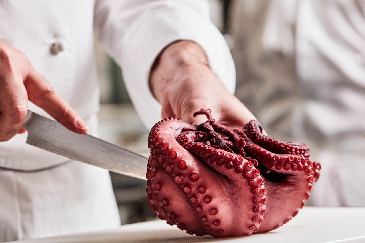 Cruise Dining | Our Restaurants | Explora Journeys