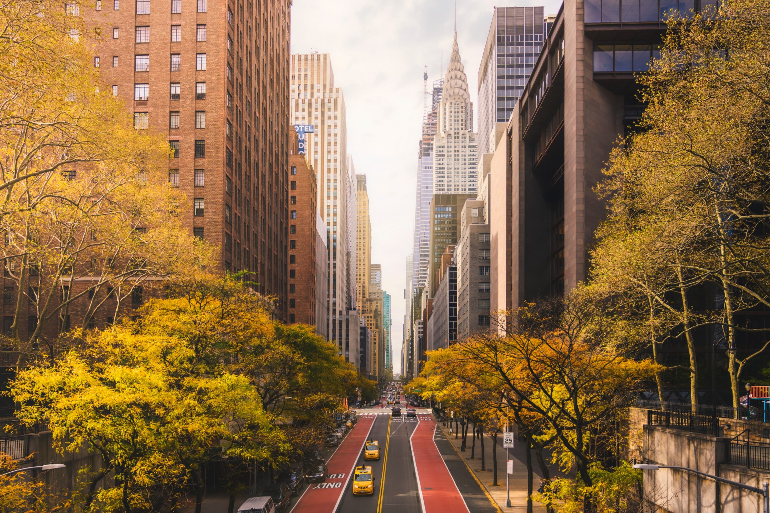 Quintessential Miami