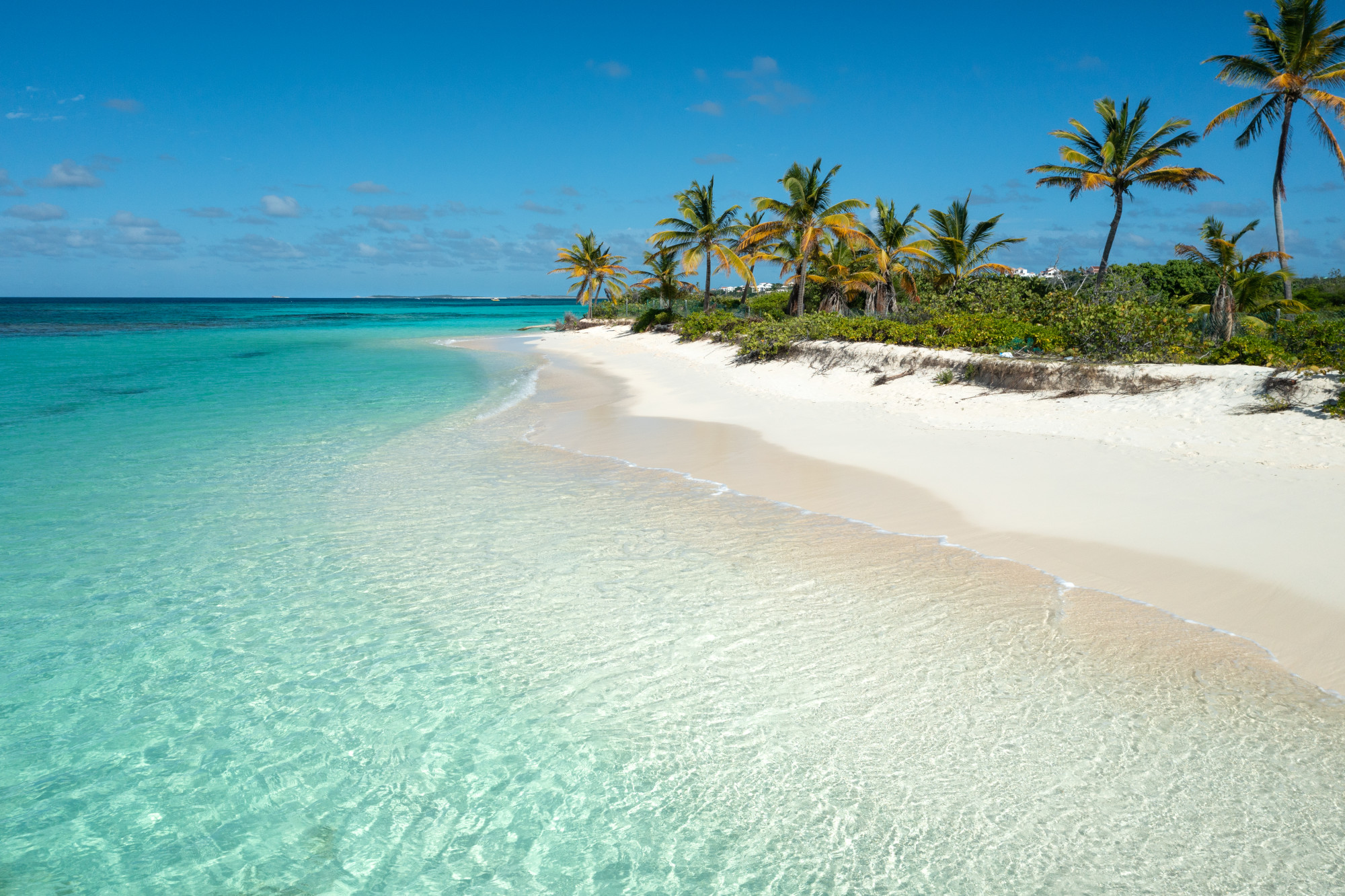 Anguilla Escapism