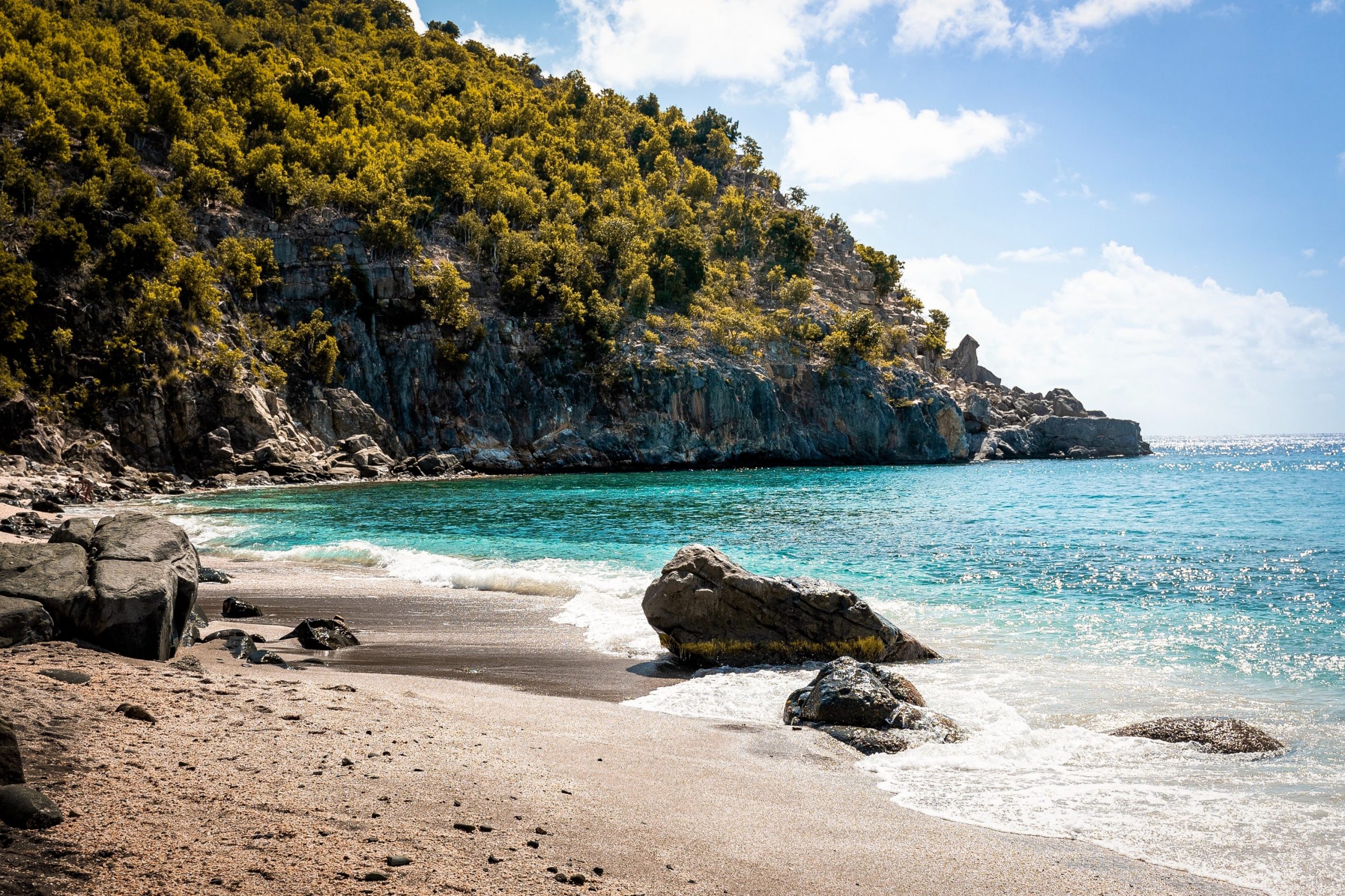 Distinguished Gustavia