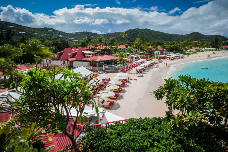 Distinguished Gustavia