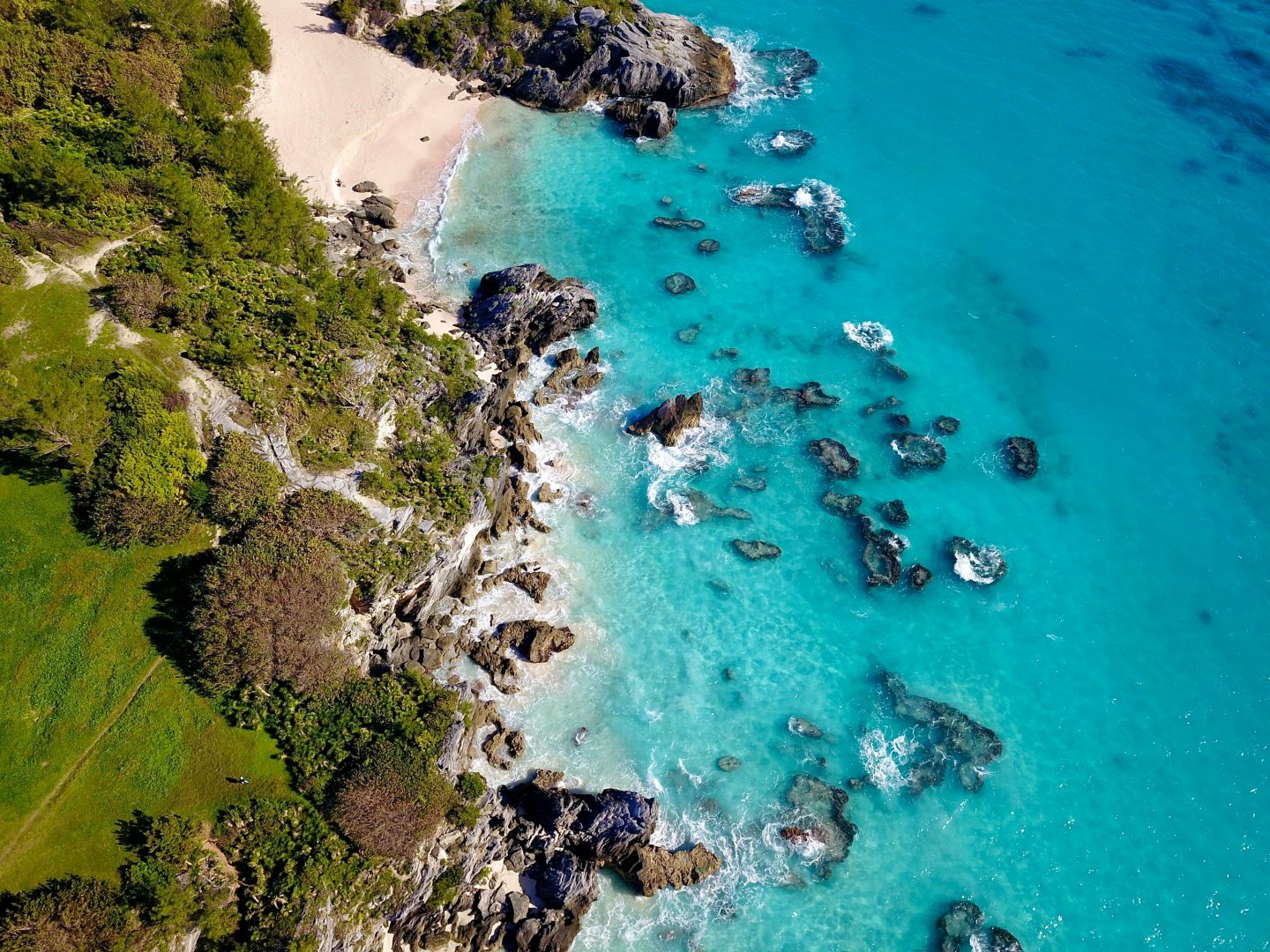 Pretty in Pink Bermuda