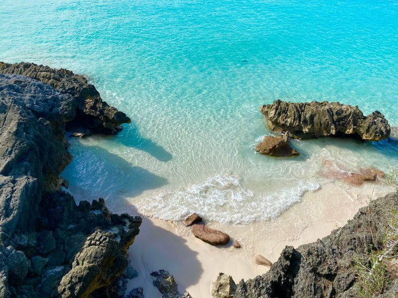 Pretty in Pink Bermuda