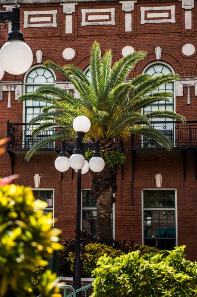 A Cultural Cocktail on Florida’s Sun Coast